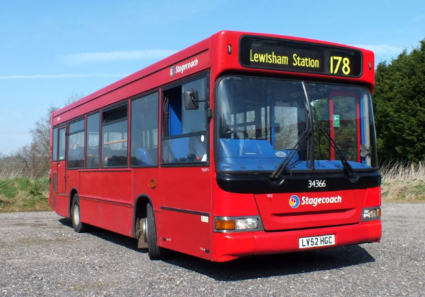 Wightrider | The Buses 2022