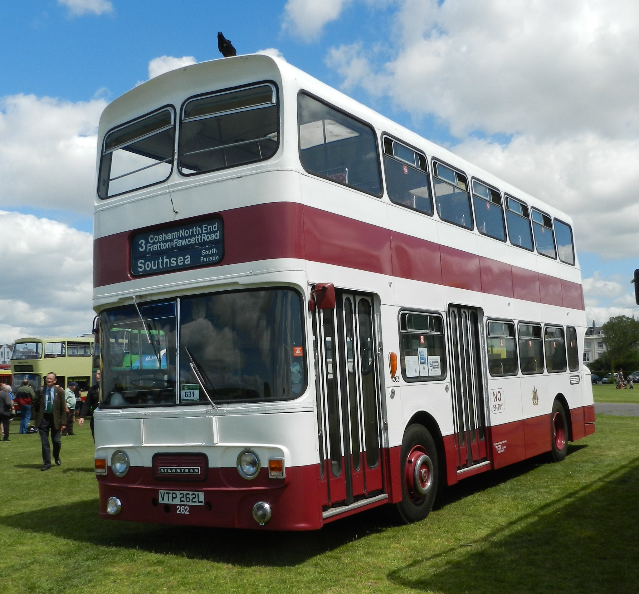 Wightrider | The Buses 2022